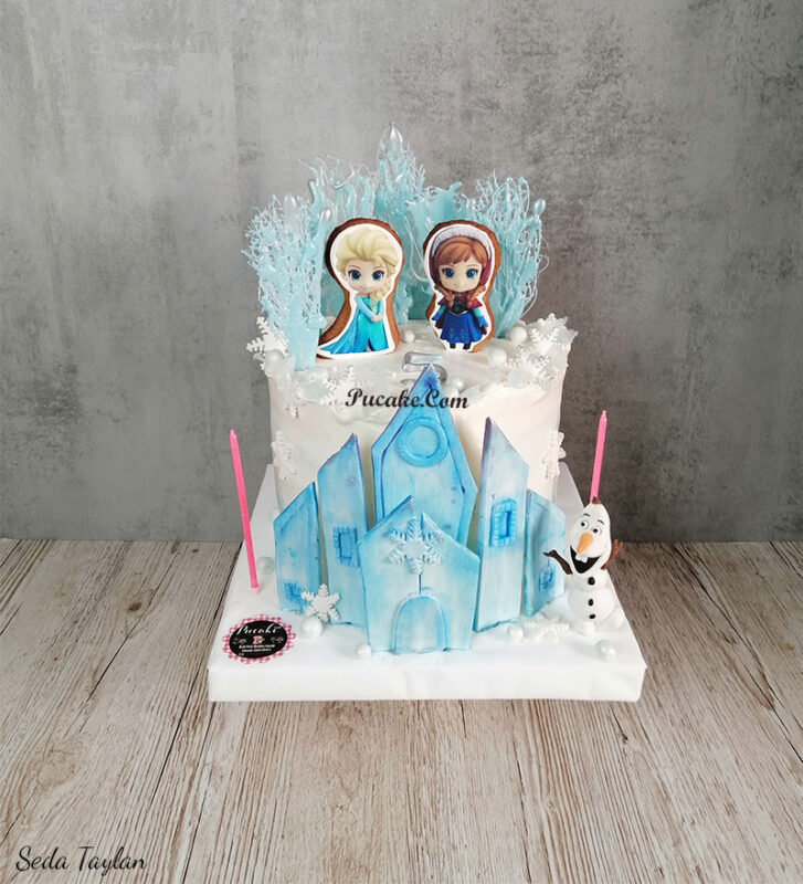 Elsa Konsept (Özel Tasarım) Doğum Günü Pastası - Pucake.Com