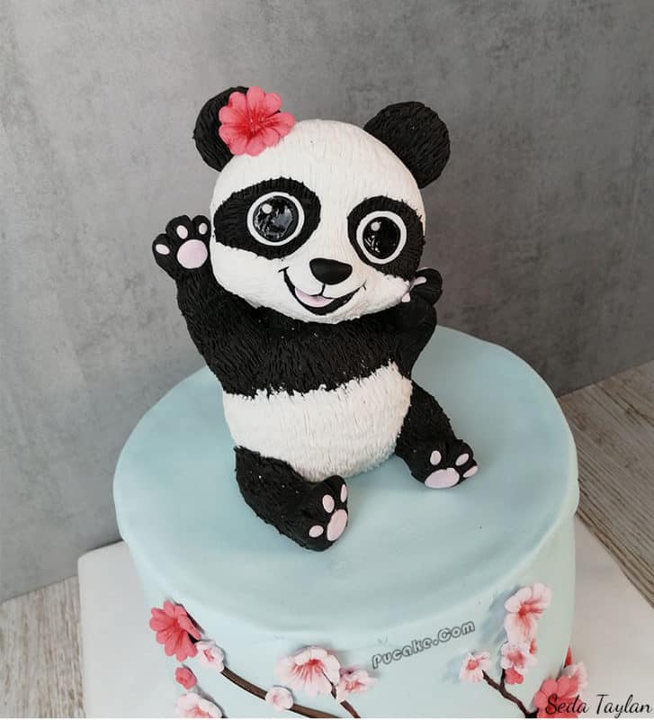 Panda Butik (Özel Tasarım) Pasta (Ankara) - Pucake.Com
